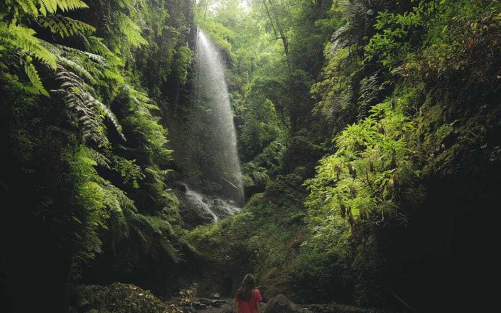 La Palma: reconnect with nature | NUBA Blog