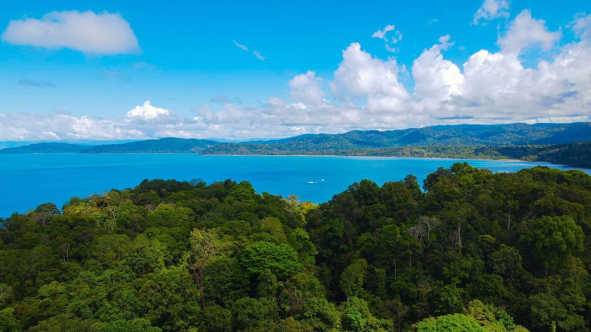 Costa Rica, remote forests and the most exclusive hotels | NUBA