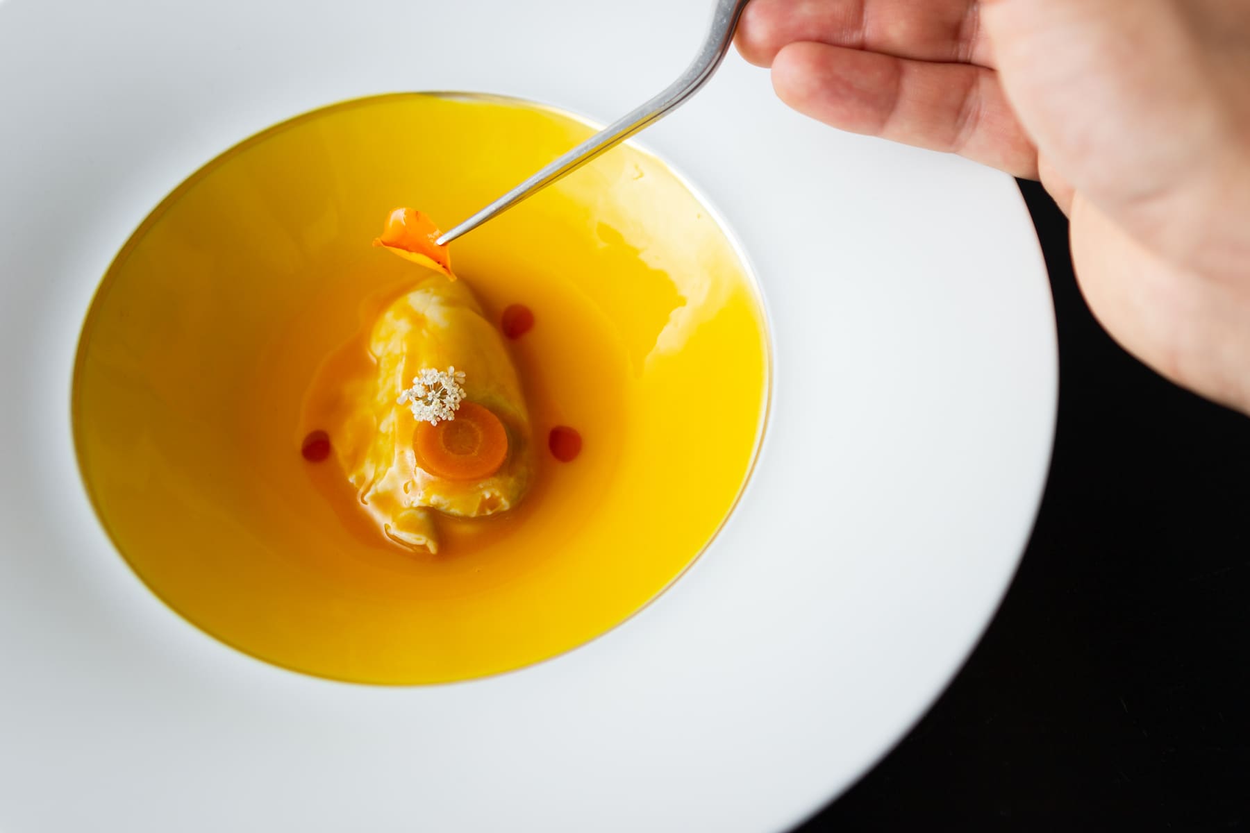 The New Universe of Gastronomy with Shapes by NUBA : NUBA